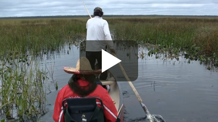 Episode 28: (Wild) Rice Lake | The Perennial Plate