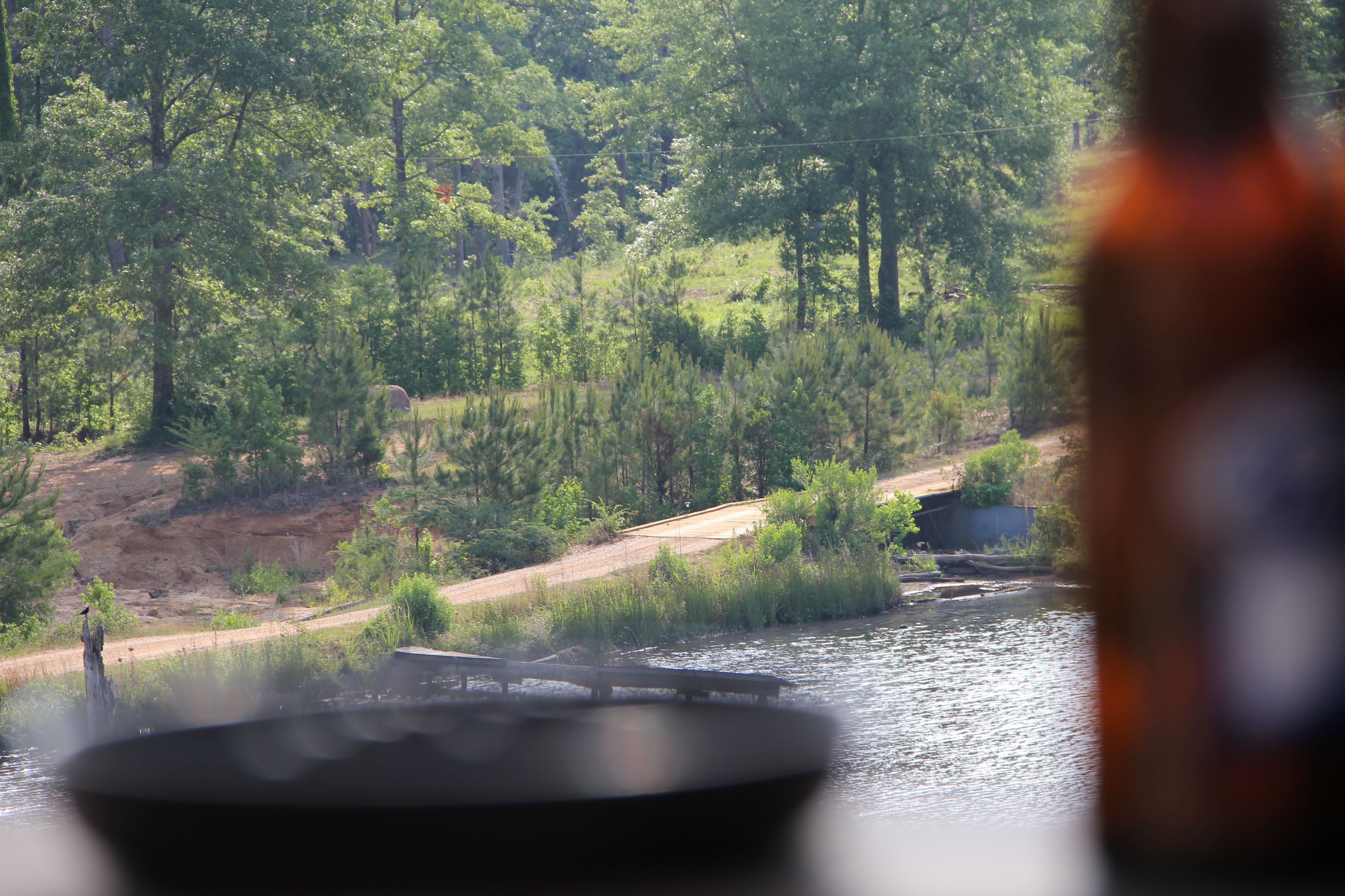 Shame Shame | The Perennial Plate